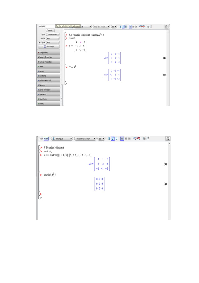 Macam matriks dg program maple | DOC