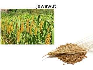 Macam Riba dan Contoh-contohnya - Titok Priastomo | PPT