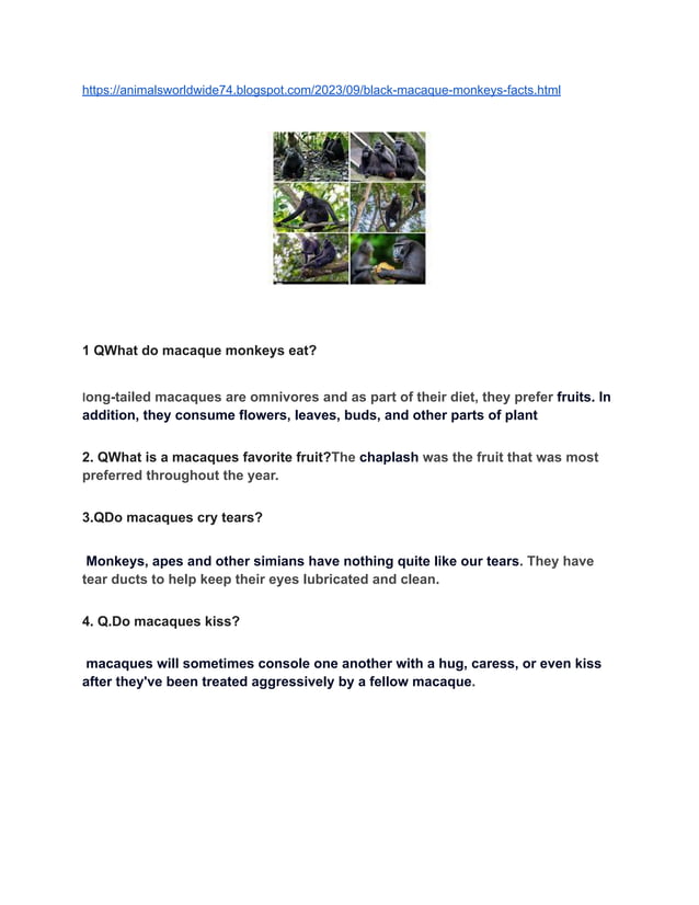 macaque monkeys .pdf