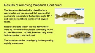 Macatawa watershed history | PPTX