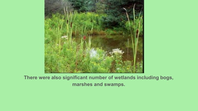 Macatawa watershed history | PPTX | Geography | Science