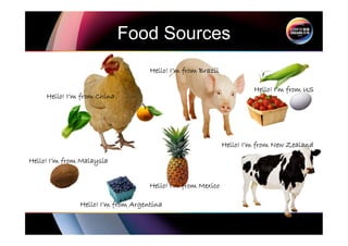 Macau Food Safety | PDF