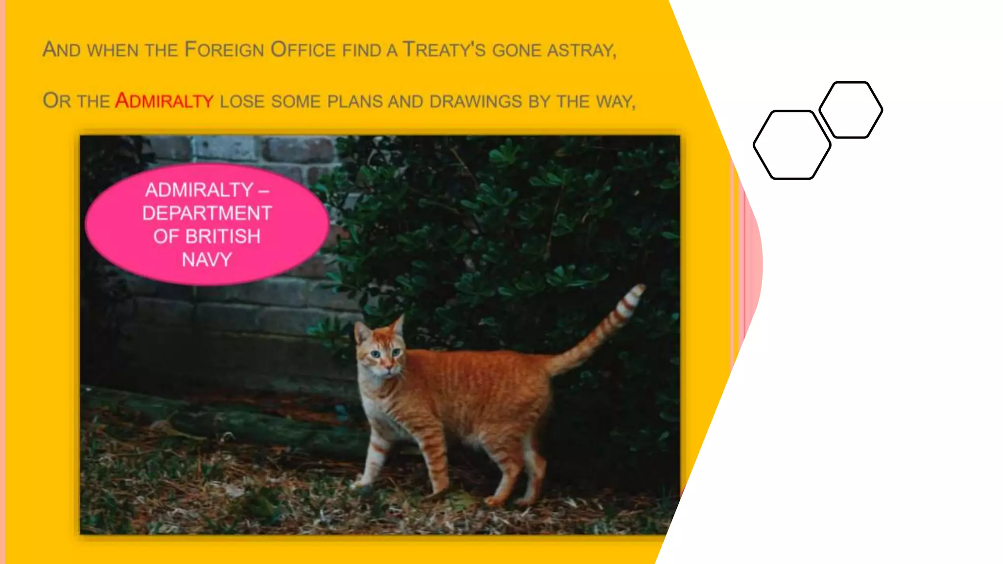 Macavity the mystery cat | PPTX