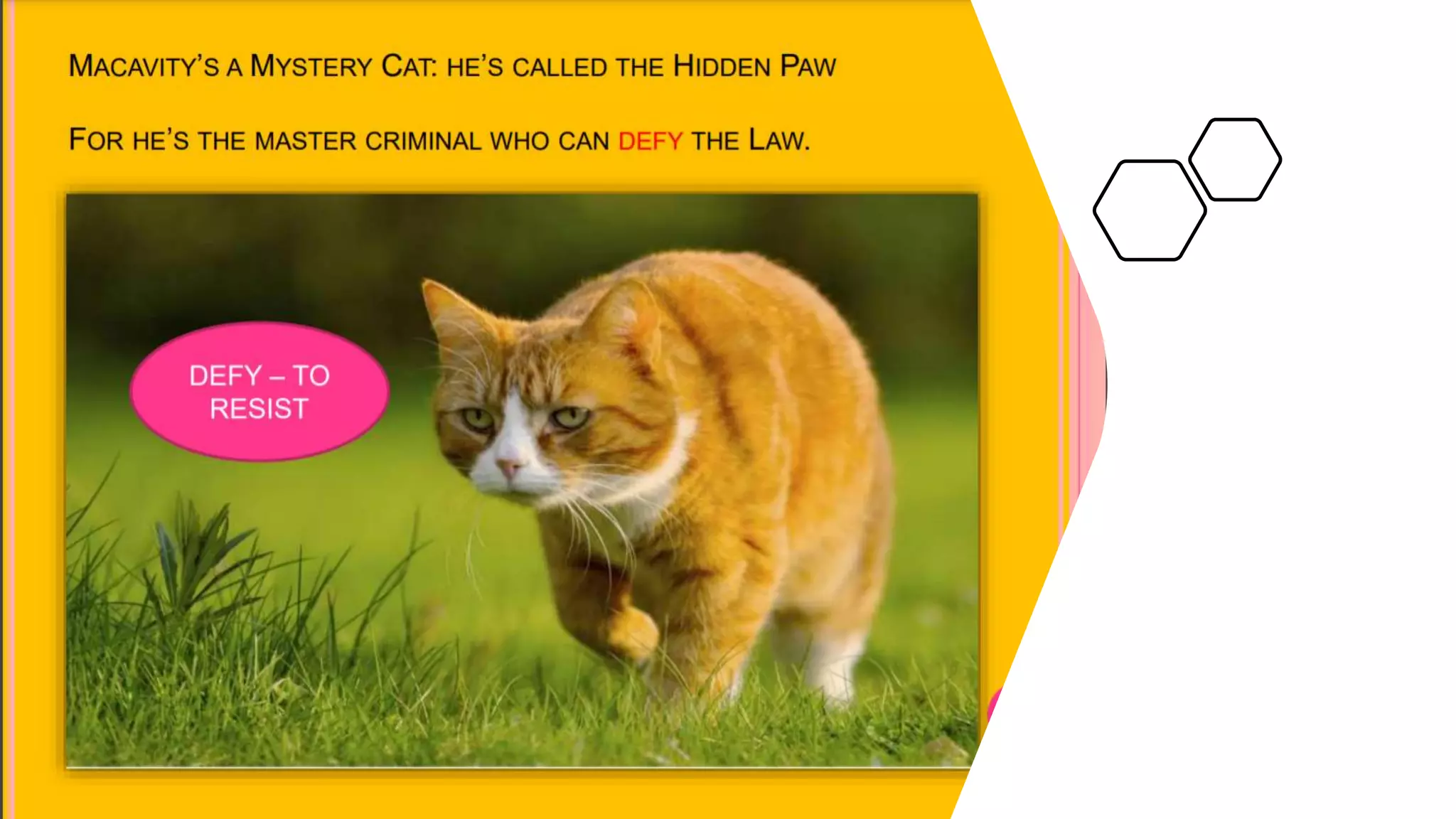 Macavity the mystery cat | PPTX