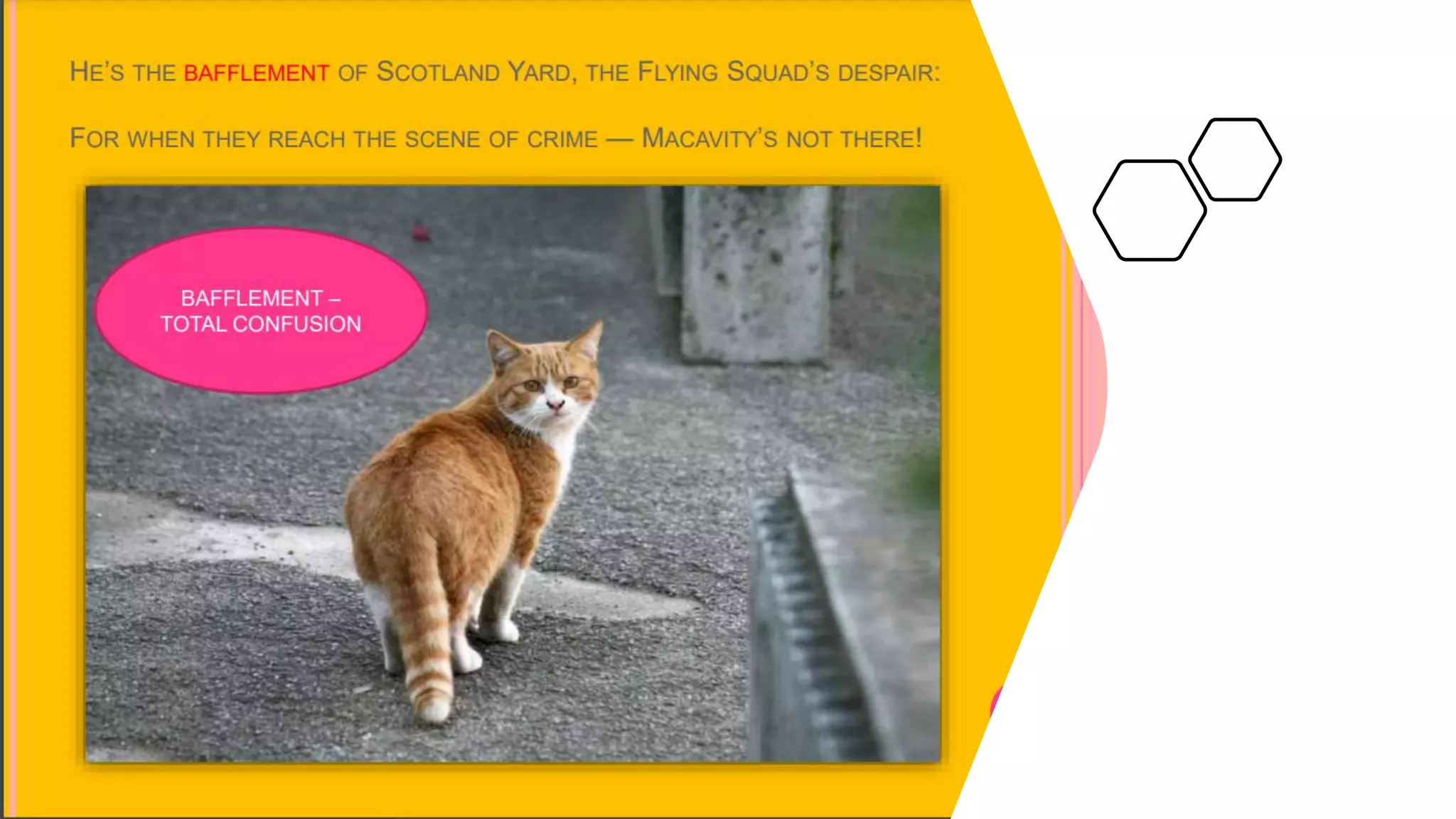 Macavity the mystery cat | PPTX