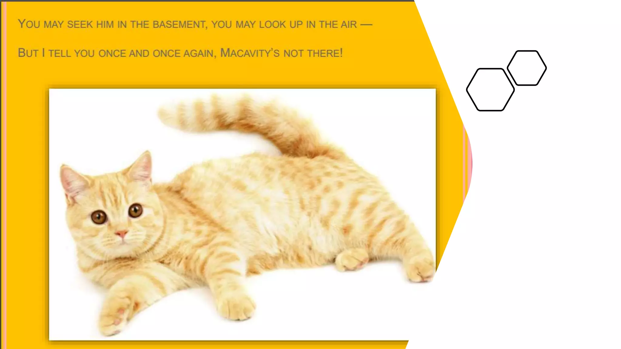 Macavity the mystery cat | PPTX