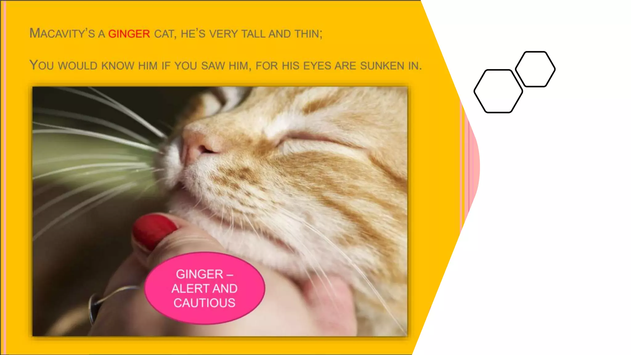 Macavity the mystery cat | PPTX