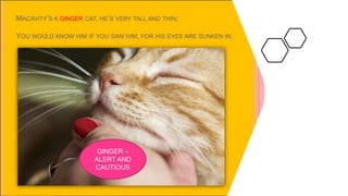 Macavity the mystery cat | PPT