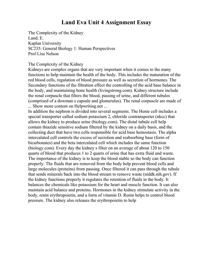 Macbeth Character Analysis Essay.pdf