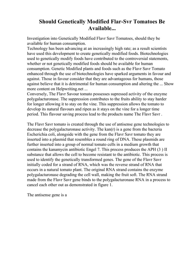 Macbeth Essay Introduction | PDF