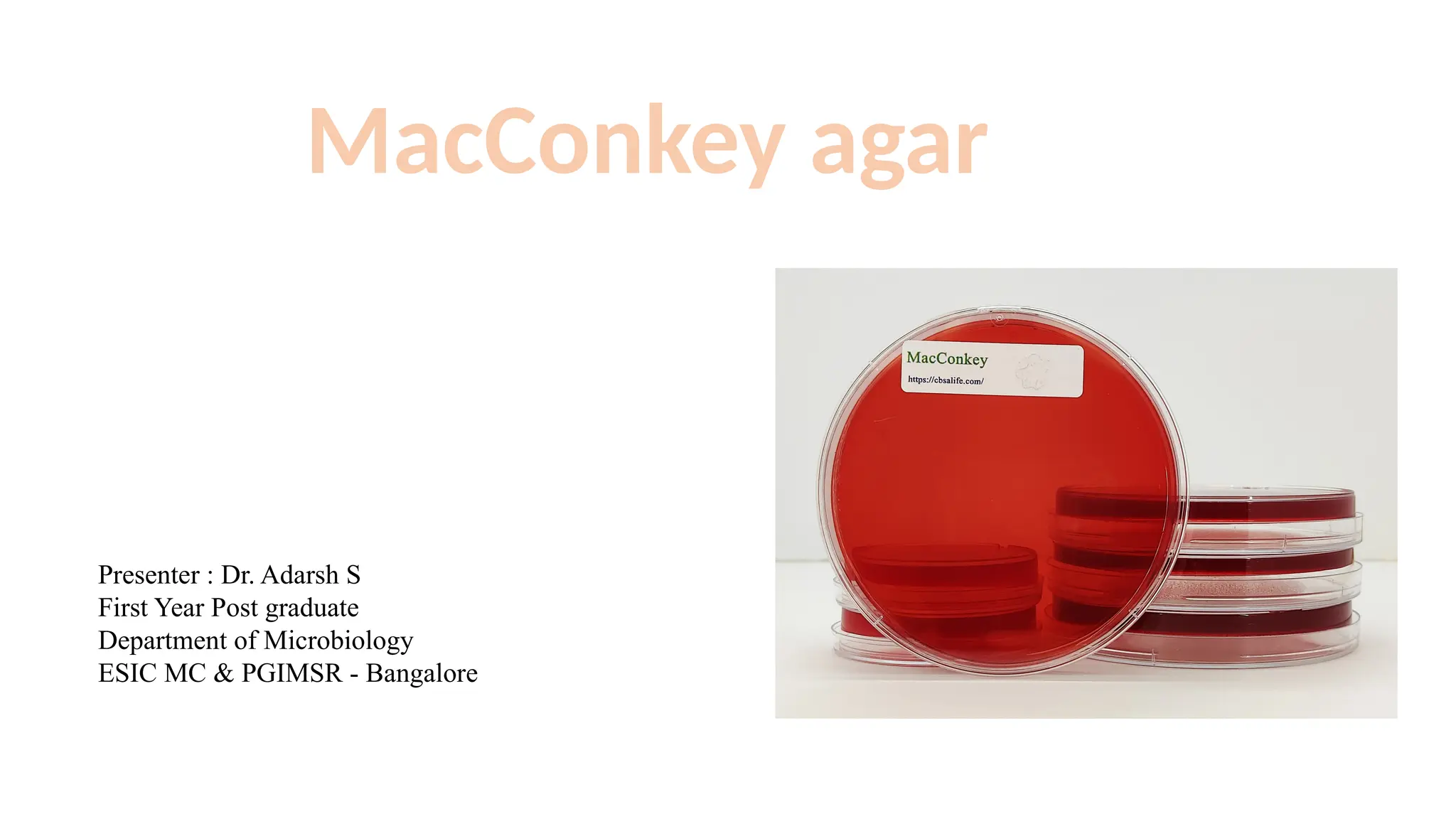 MacConkey Agar: Composition, Principle, Uses & Modifications – A ...