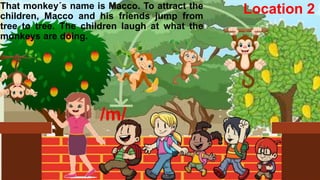Macco The Monkey -Kinder | PPT