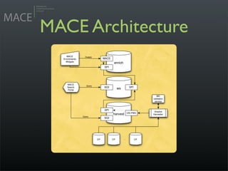 MACE | PDF