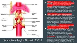 Anatomy study guide nervous system pa school | PPT
