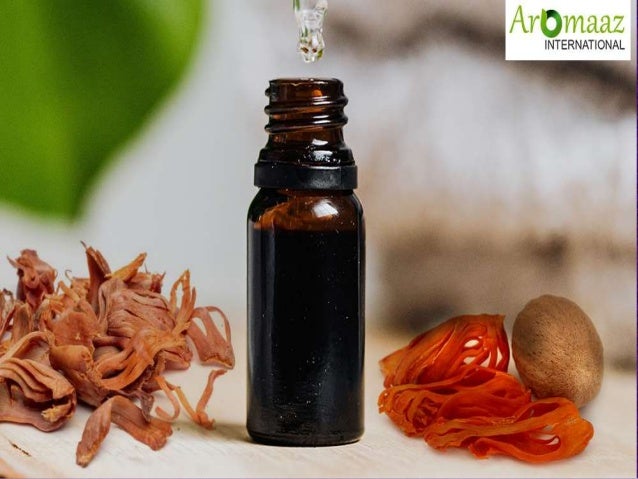 Mace oil- An Aromatic Derivative Of Nutmeg Plant! | PPTX