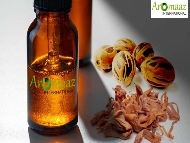 Mace oil- An Aromatic Derivative Of Nutmeg Plant! | PPTX