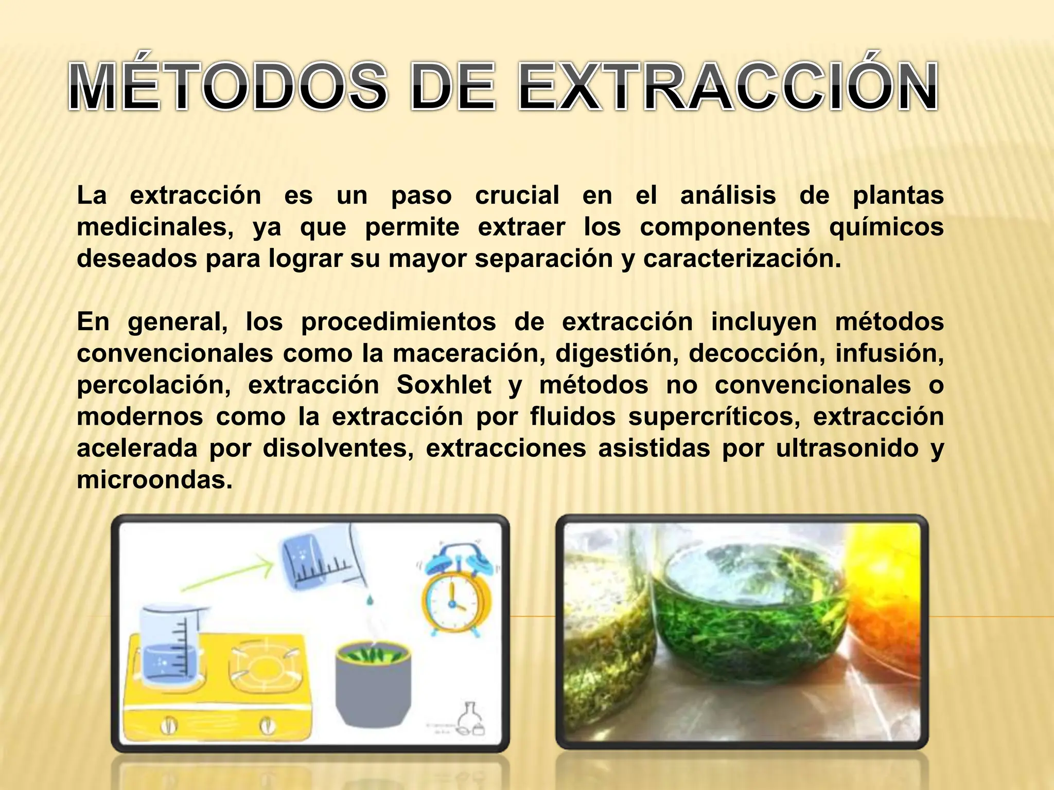 PROCESO DE EXTRACCION: MACERACION DE PLANTAS.pptx
