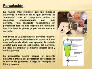 Proceso De Extraccion Maceracion De Plantas Pptx