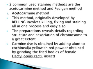 MACERATION AND SMEARS | PPTX
