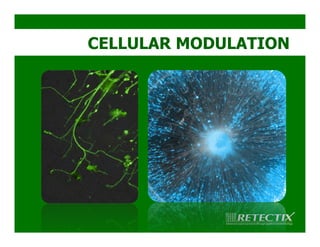 Matt MacEwan -- Disruptive Diner: Nano Possibilities | PPT