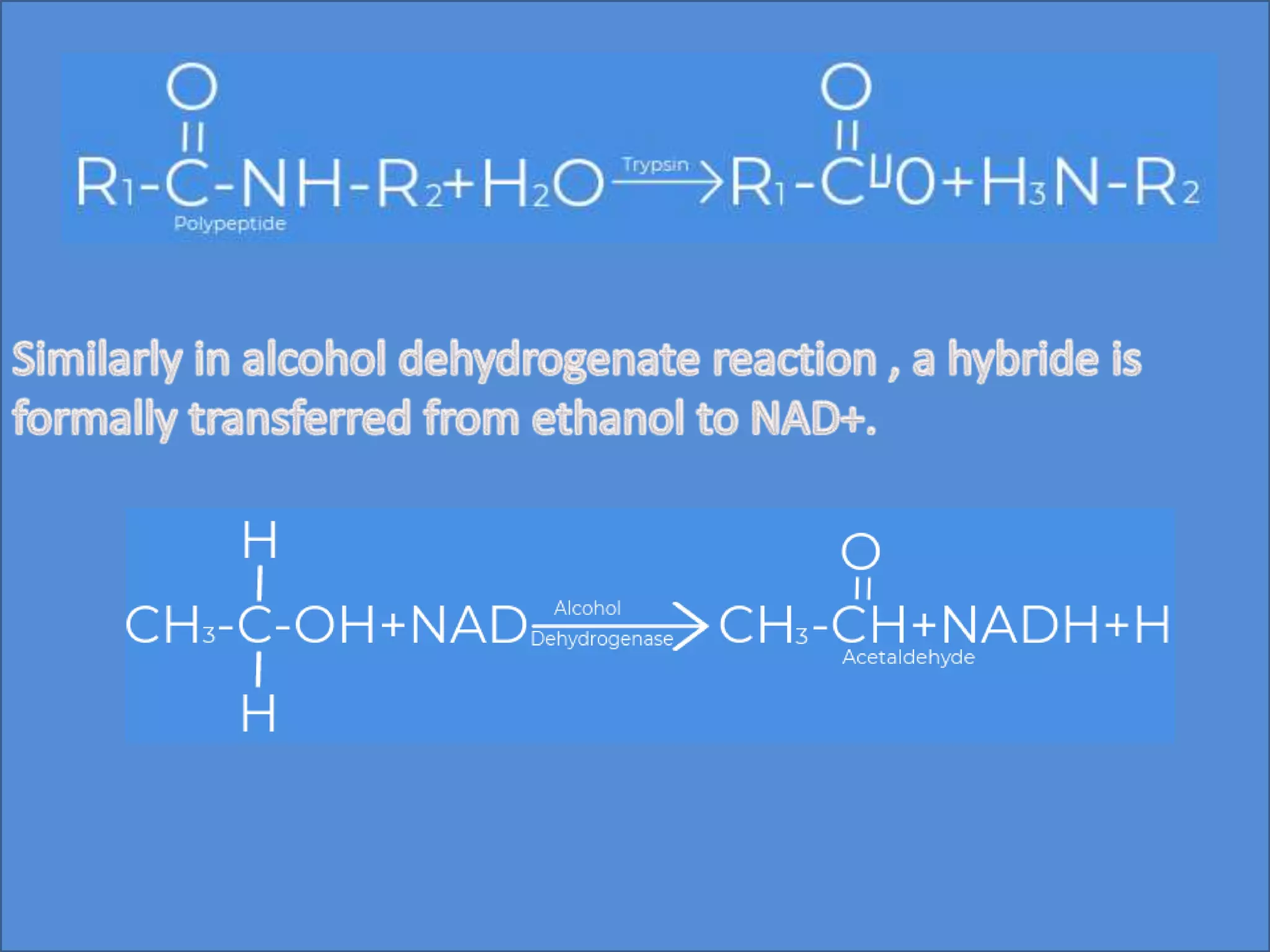 Machanism of action of enzyme involving two or more substrate | PPT