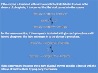 Machanism of action of enzyme involving two or more substrate | PPT