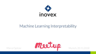 Machine Learning Interpretability | PDF