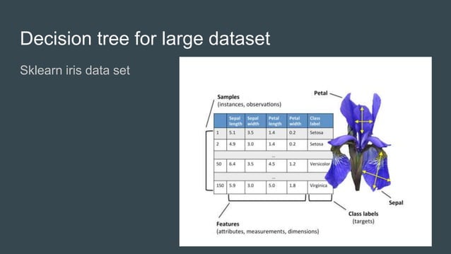 Machine learning algorithms | PPTX