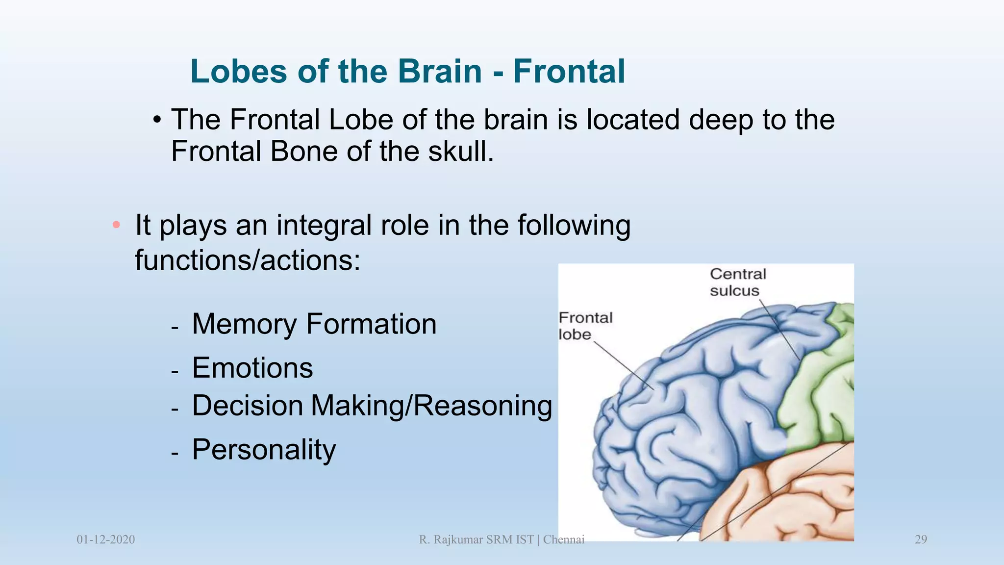 Machine learning in human computer interface | PPT