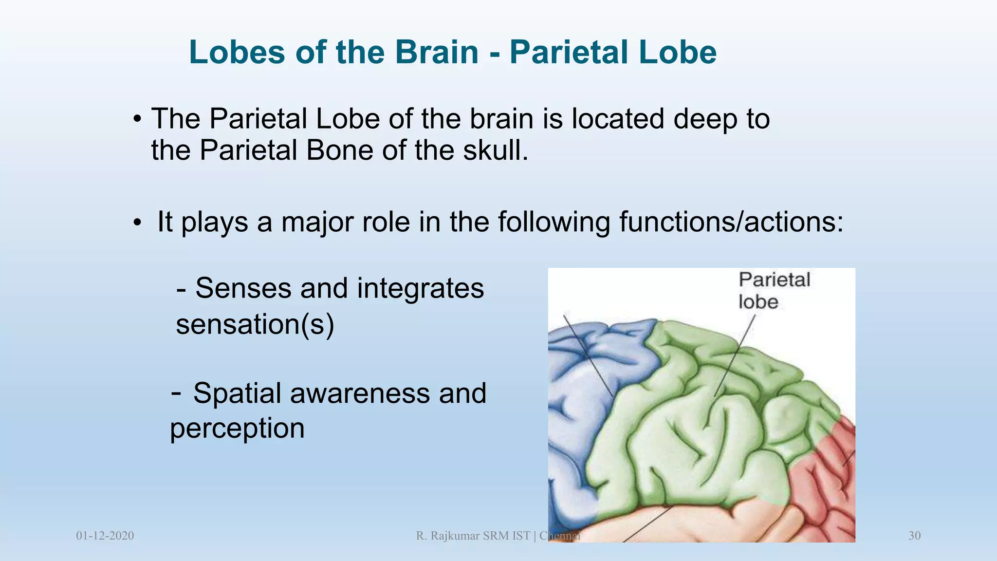 Machine learning in human computer interface | PPT