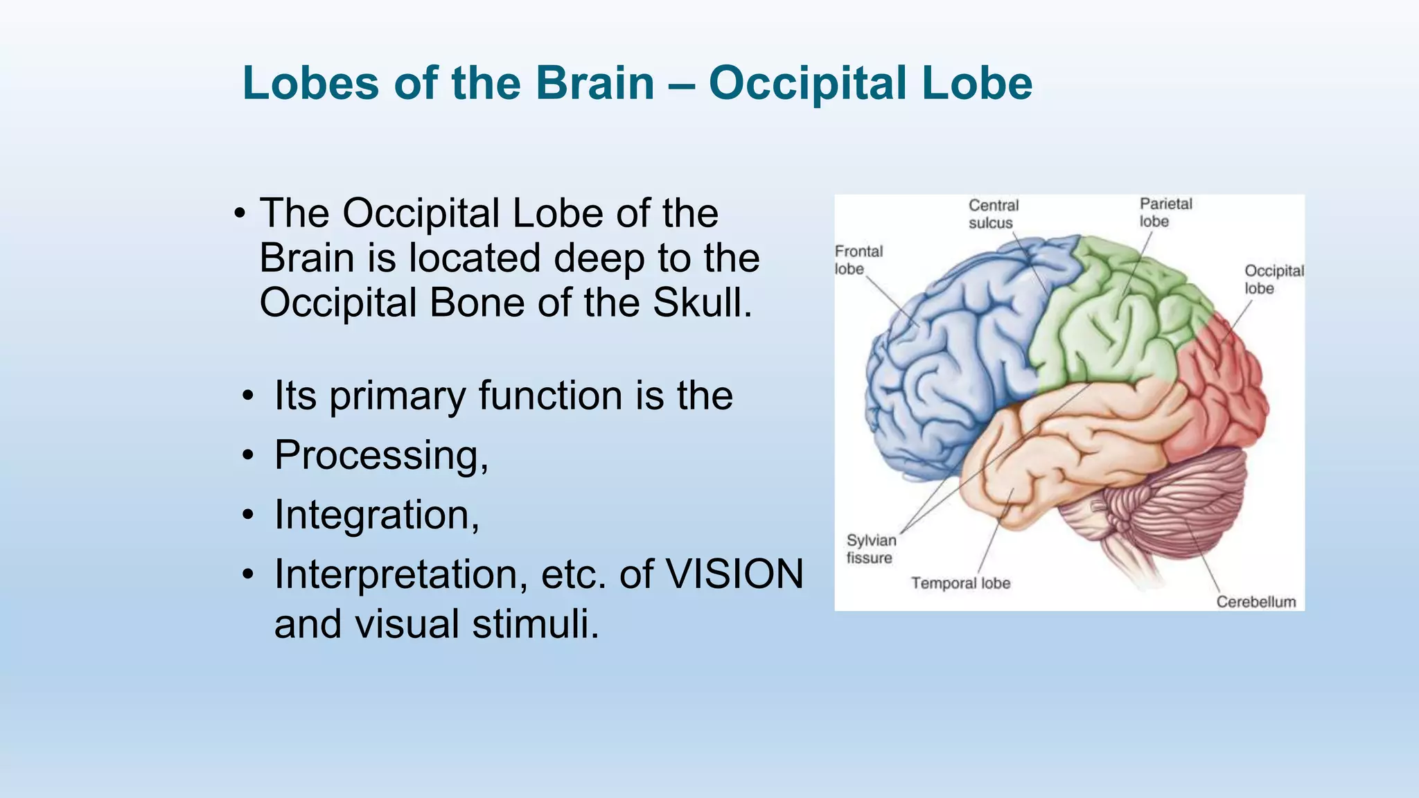 Machine learning in human computer interface | PPT