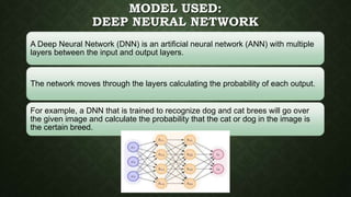 Machine model to classify dogs and cat | PPTX | Artificial Intelligence ...