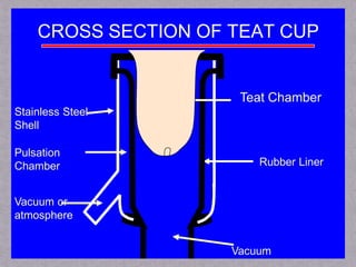 Machine milking | PPTX