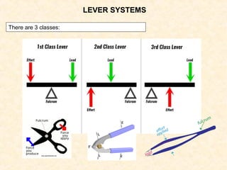 Simple machines | PPT