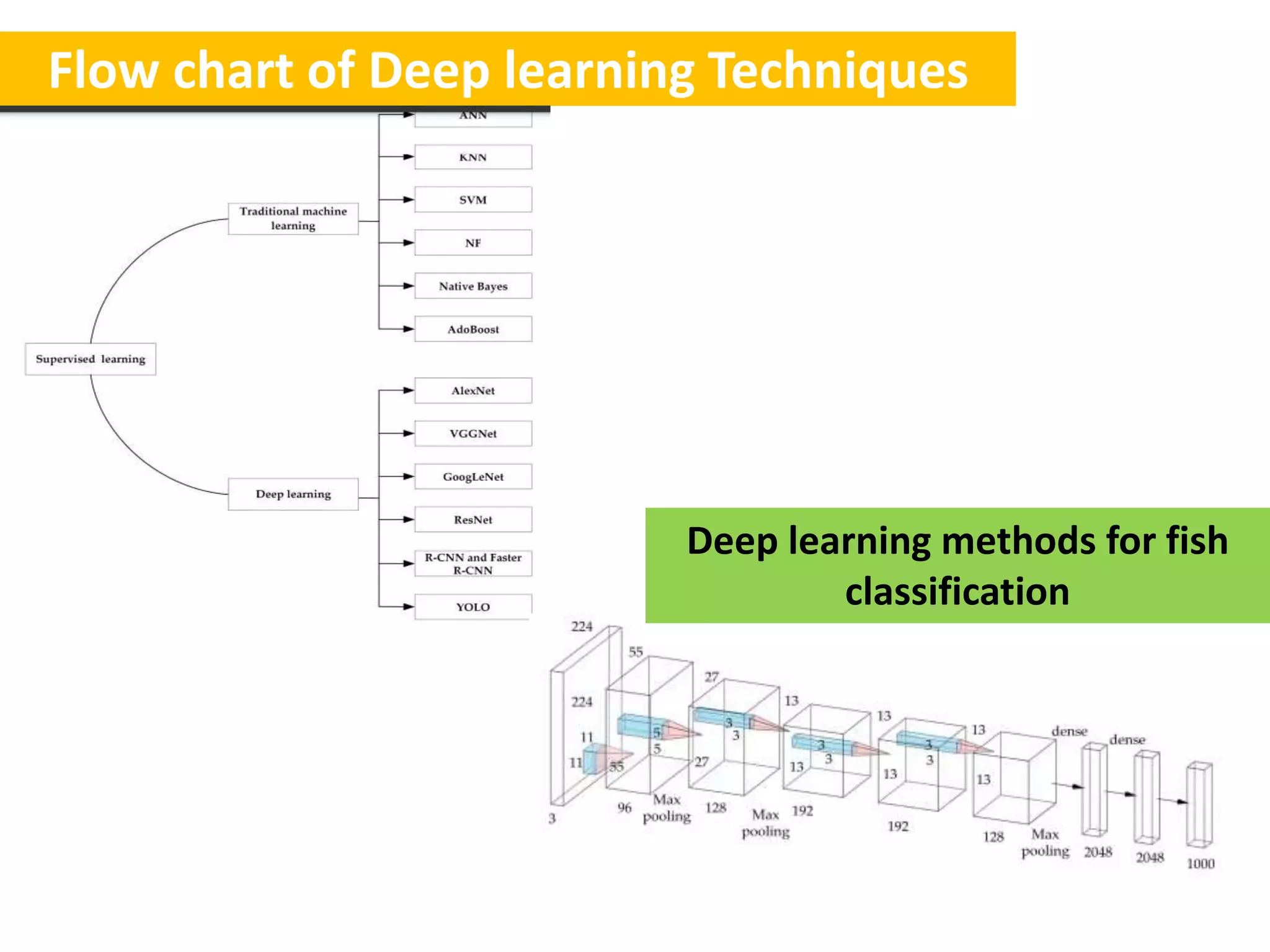 Machine vision technology for Fish classification.pptx