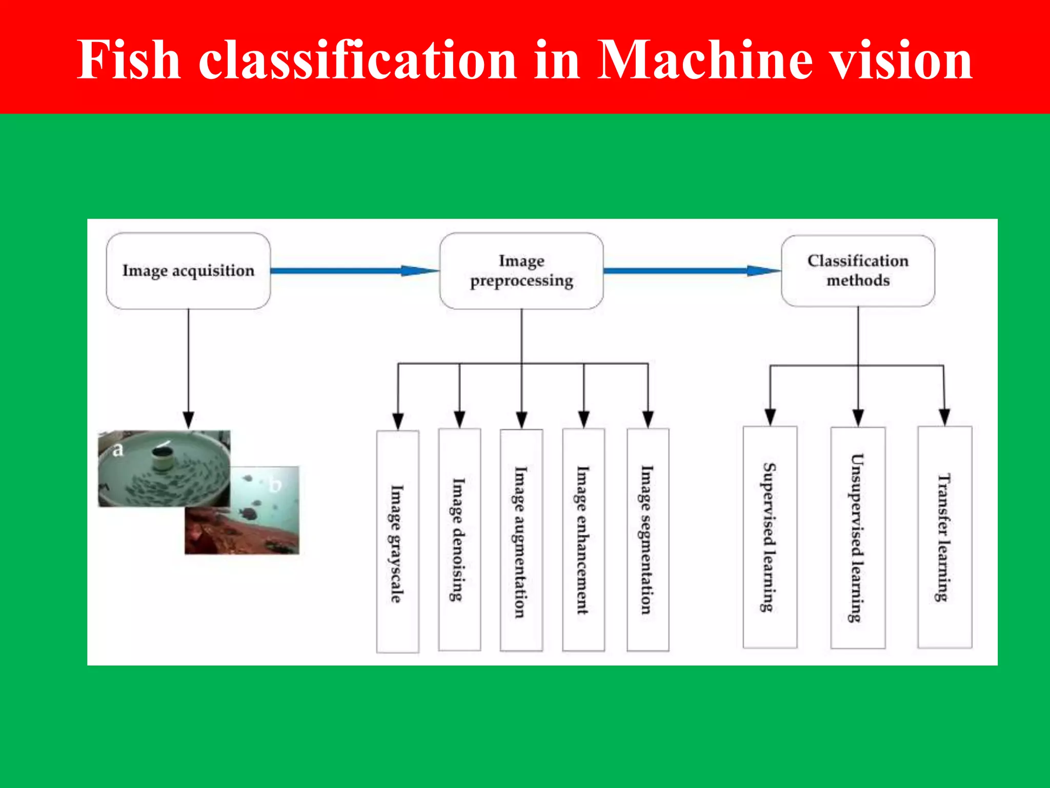 Machine vision technology for Fish classification.pptx