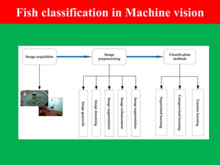 Machine vision technology for Fish classification.pptx
