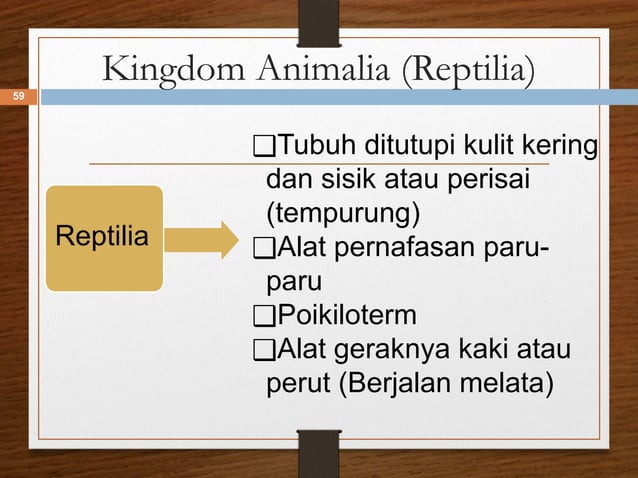 klasifikasi makhluk hidup berdasarkan materi biologi sma 10.pptx