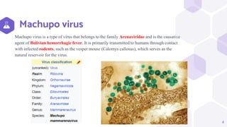 Machupo virus (1).pptx