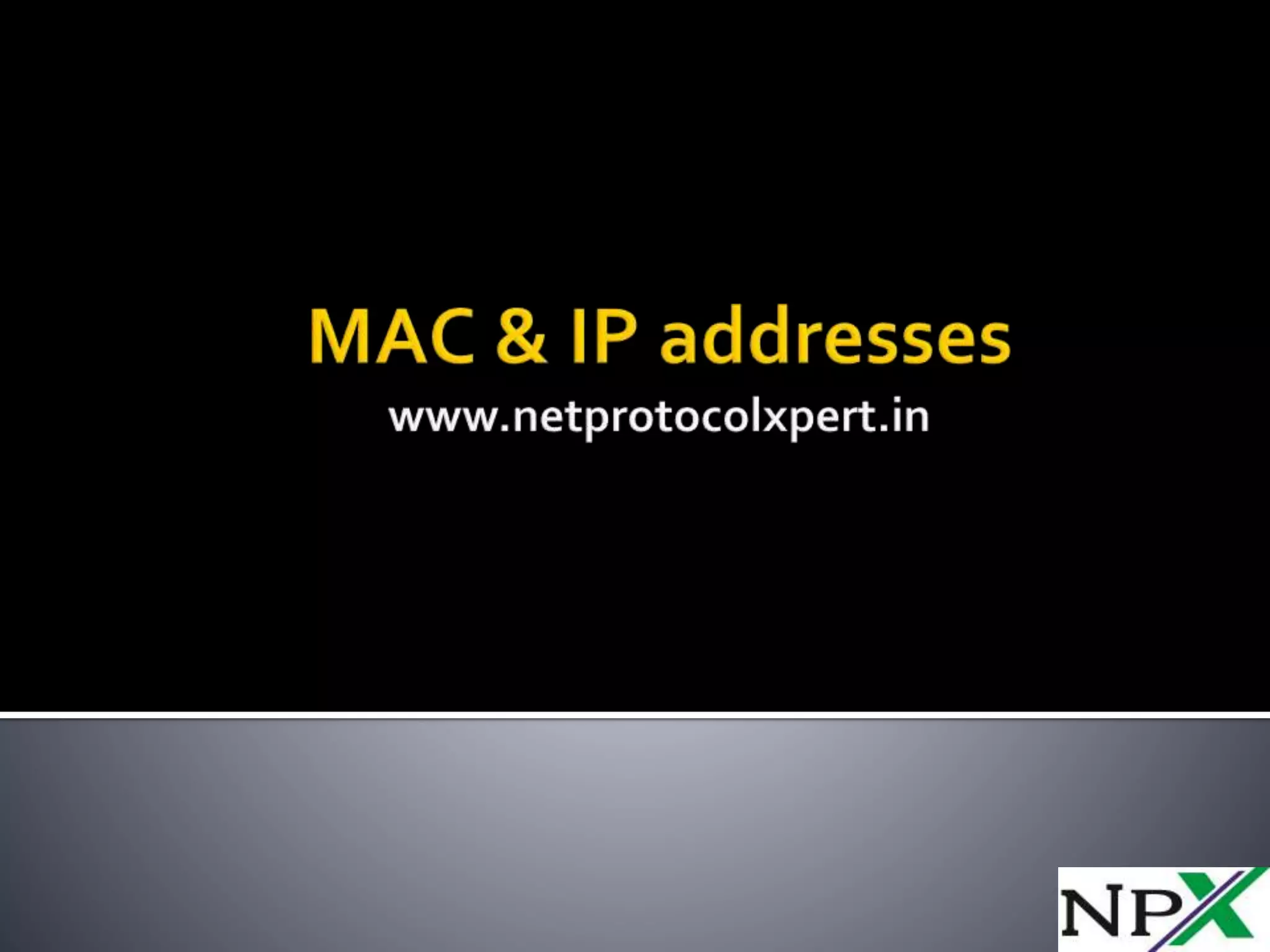 MAC & IP addresses | PPT
