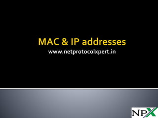 MAC & IP addresses | PPT