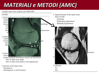 Tecnica MACI versus le tecniche one step | PPT