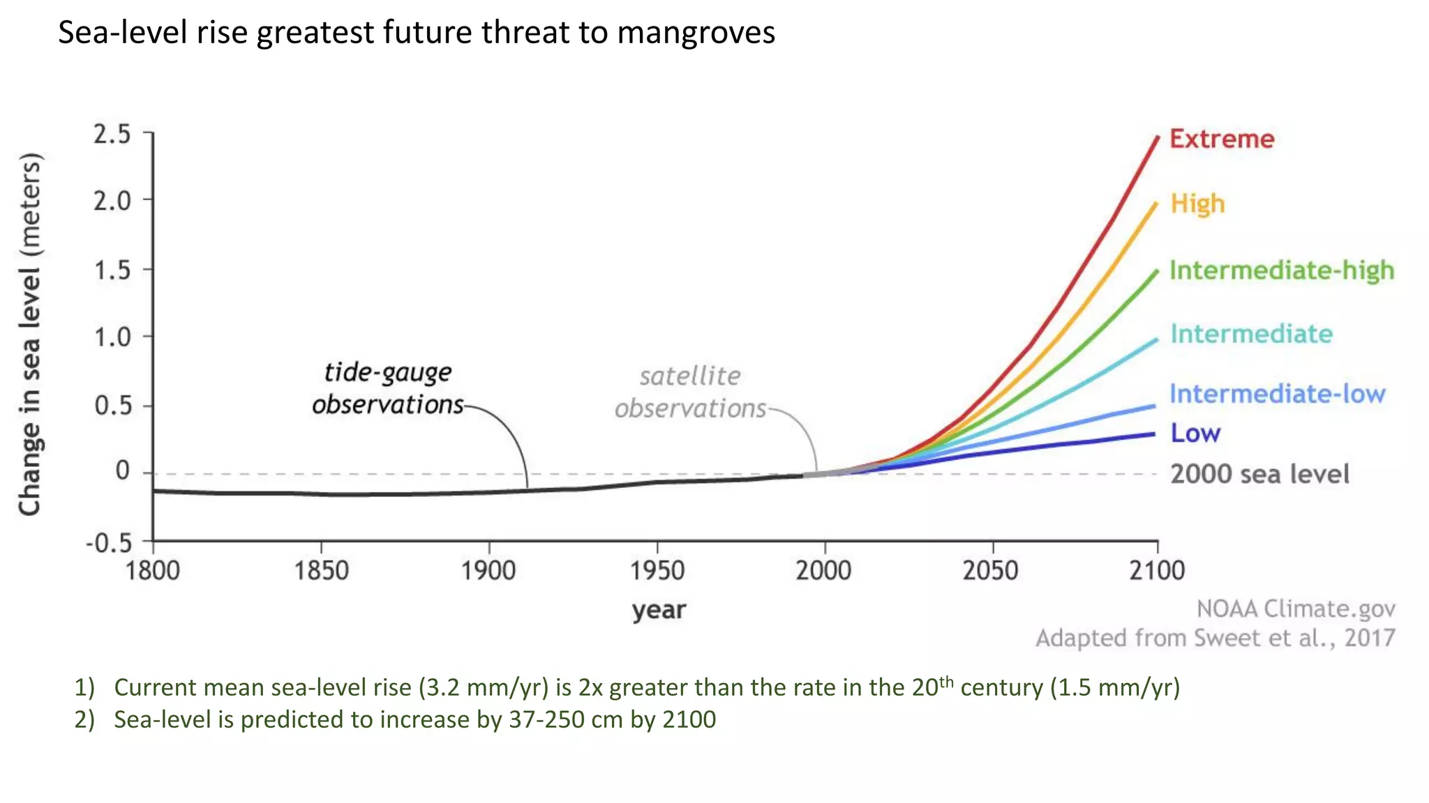 The importance of permanent mangrove plots for understanding coastal ...
