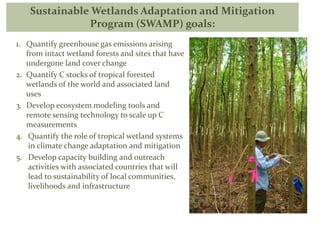 Sustainable Wetlands Adaptation and Mitigation Program | PPTX ...