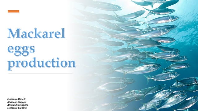 Mackerel eggs data analysis.pdf