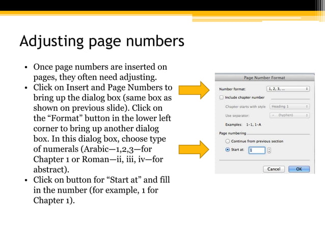 Mac different page numbers inserted in one document | PPT