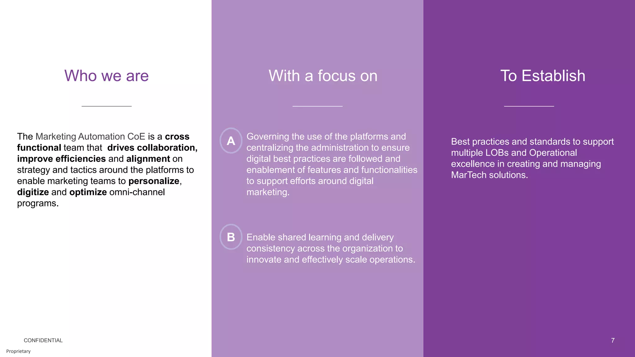 Marketing Automation Center of Excellence (CoE): Governance Structure ...