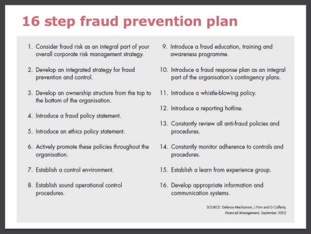 16 step fraud prevention plan