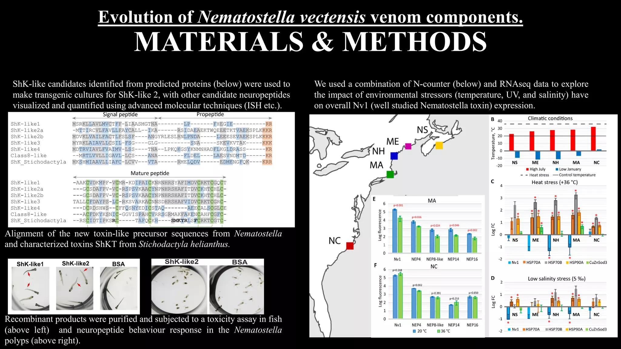 Evolution of Nematostella vectensis venom components | PDF