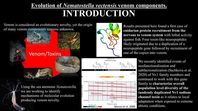 Evolution of Nematostella vectensis venom components | PDF
